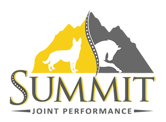 Summit – Jill Walton Performance Horses